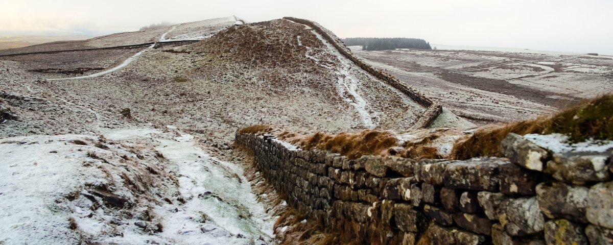 Review: Brigantia – Adrian Goldsworthy – Couldn't I Just Tell You